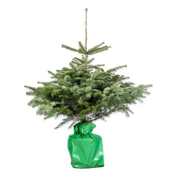 Juletre | Kunstig juletre | BAUHAUS